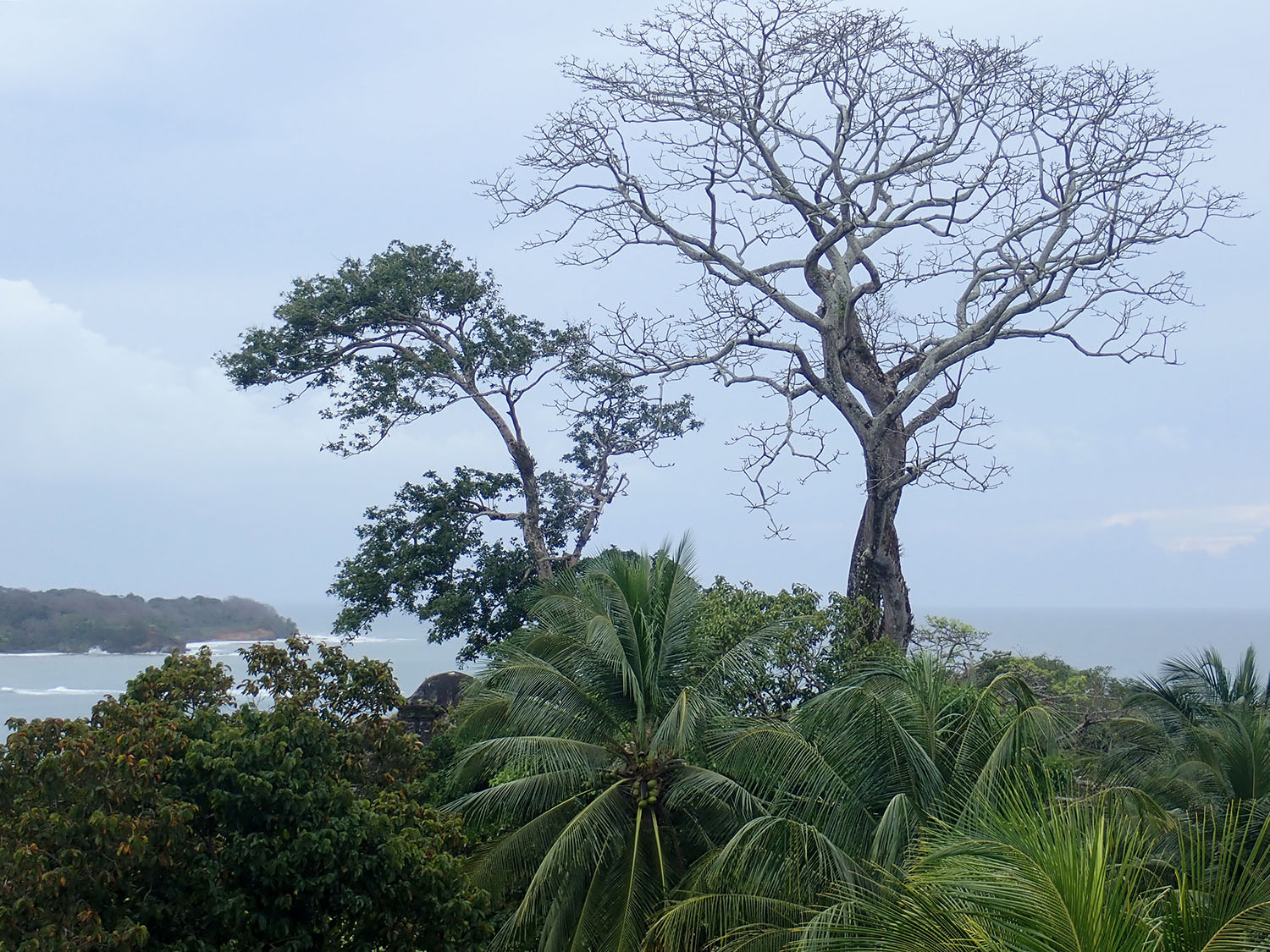 Río Chagres, Panama | Stella Maris Sail