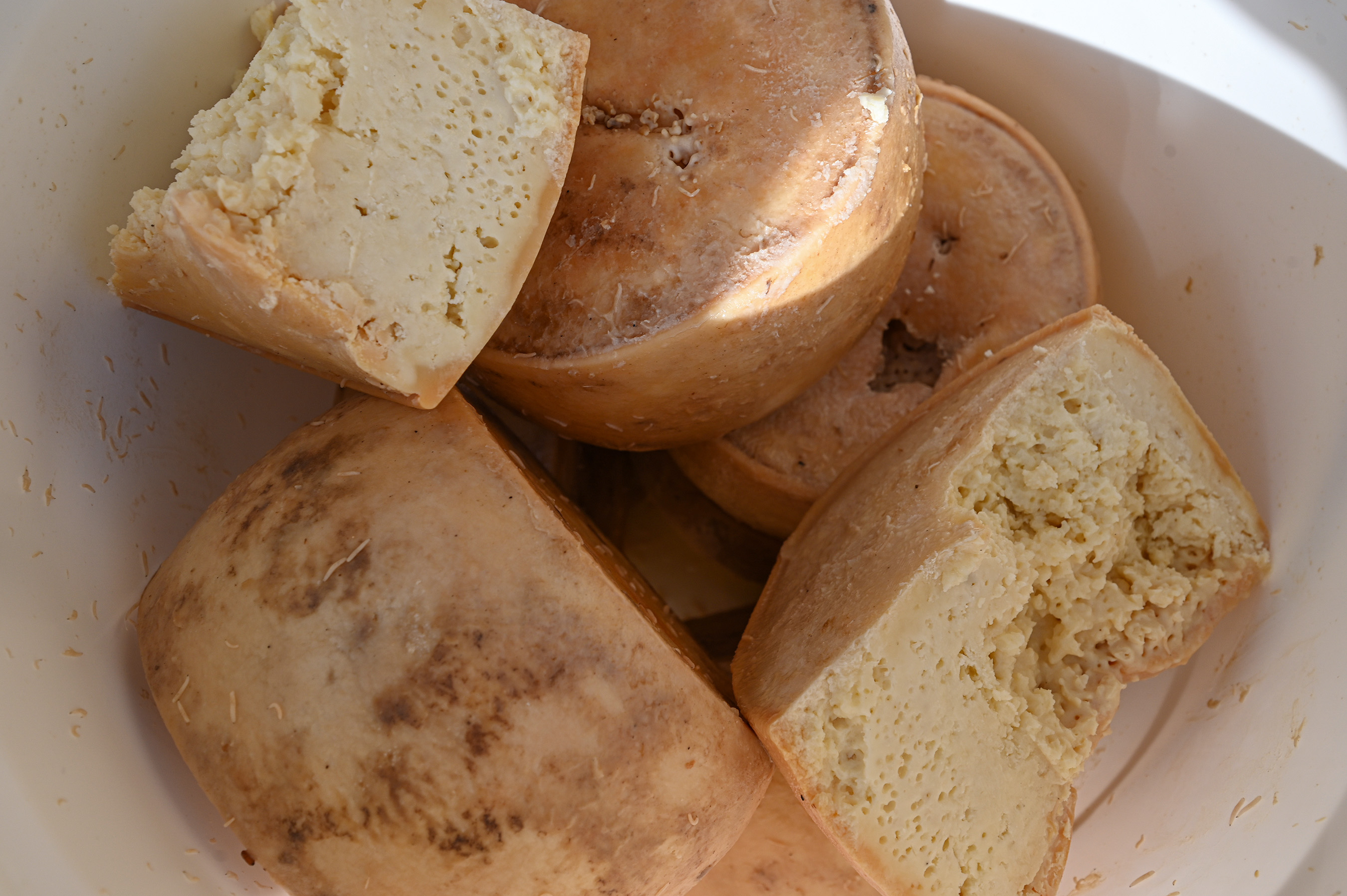 Casu Marzu | Stella Maris Sail